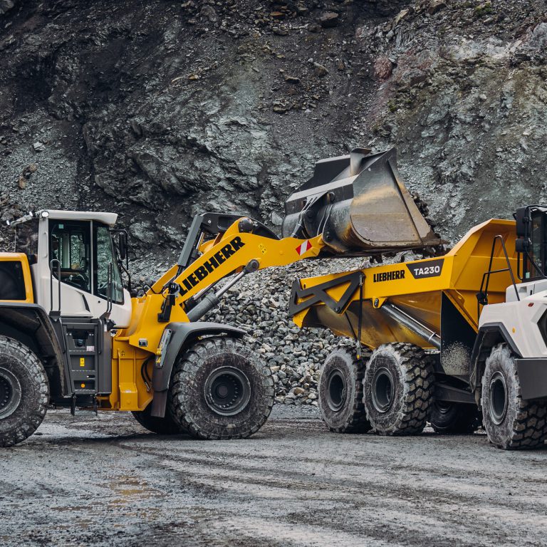 Liebherr TA 230, in campo a Steinexpo | e-construction